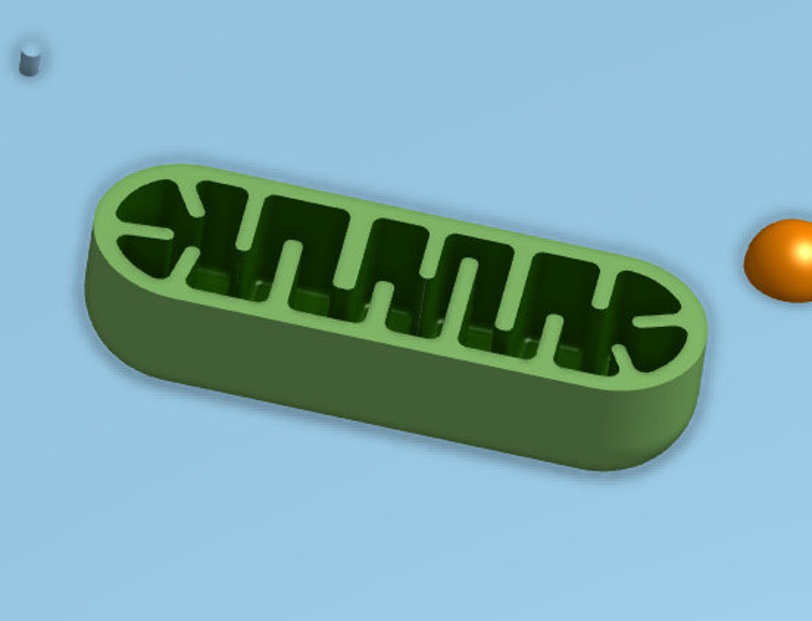 Human Cell Cutaway Cell Model .stl - Etsy