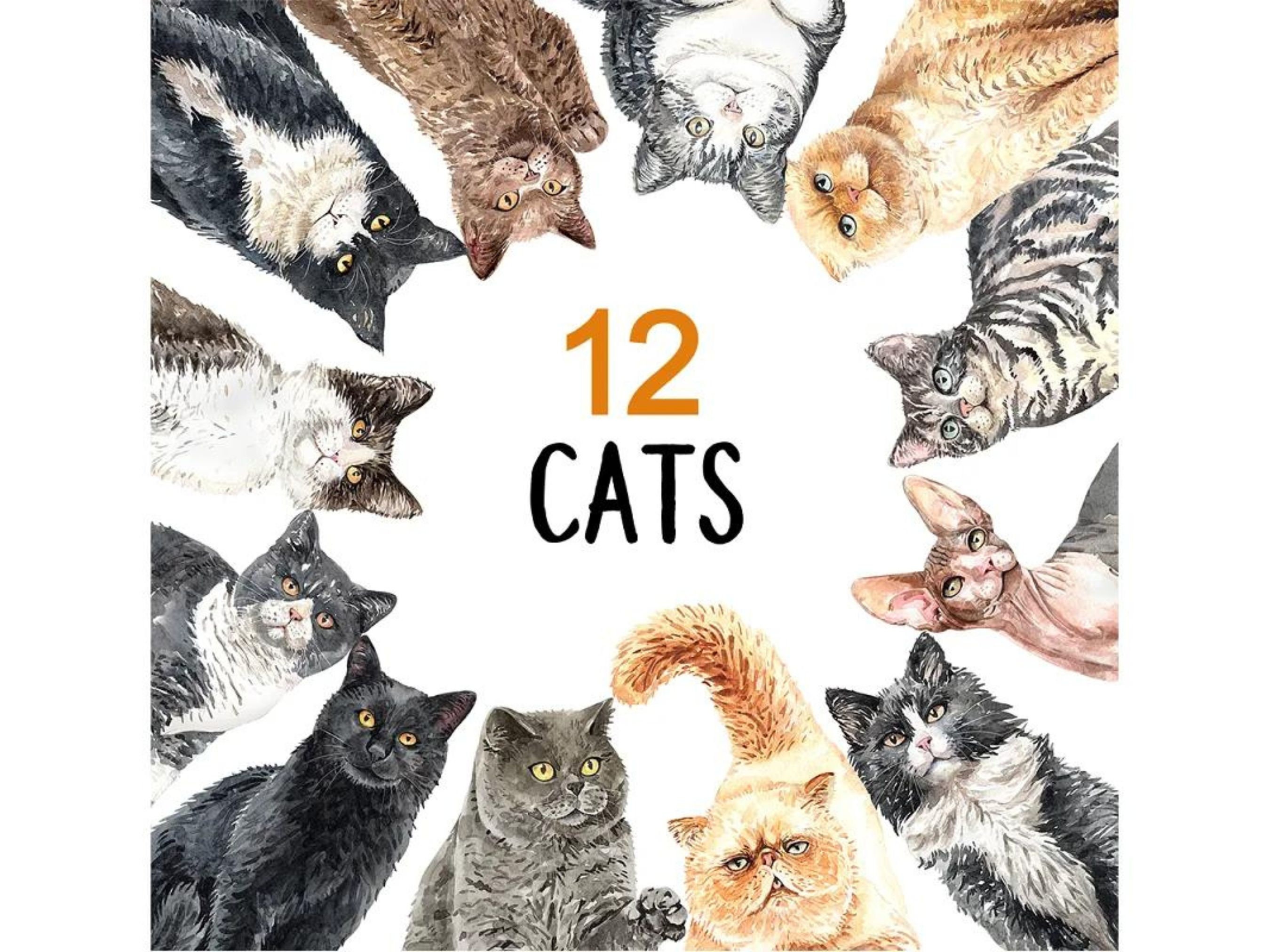 Cat Watercolor Cat Paint Clip Art - Etsy