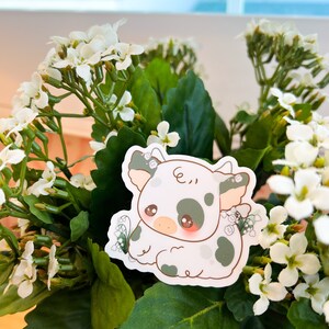 12 Birth Month Cow Stickers, Cute Cow Stickers, Waterproof Water Bottle ...