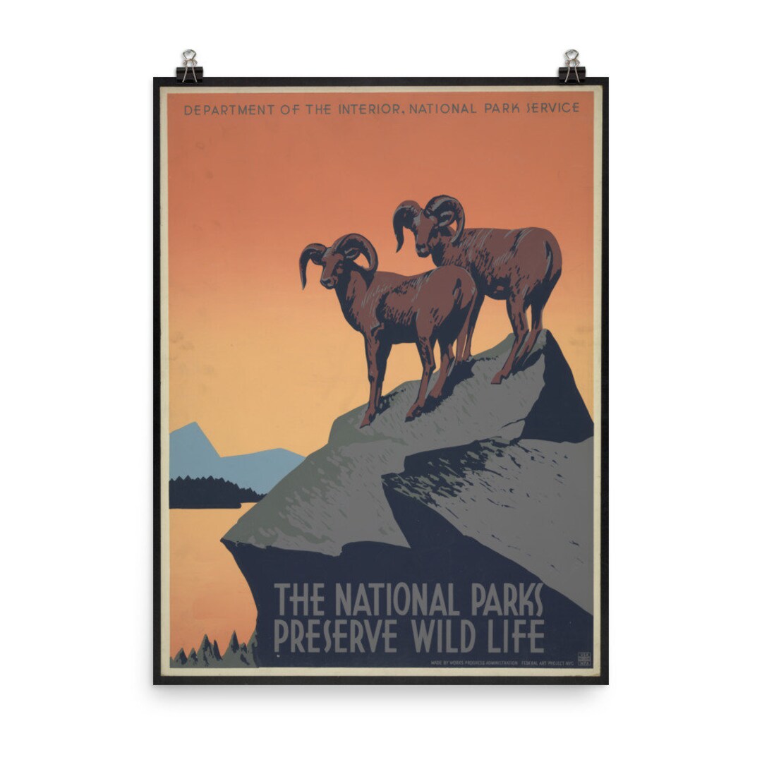 The National Parks Preserve Wild Life, 18"x24", Poster - Etsy