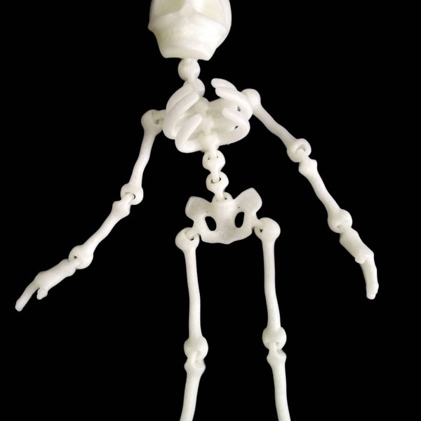 Skeleton Toys - Etsy