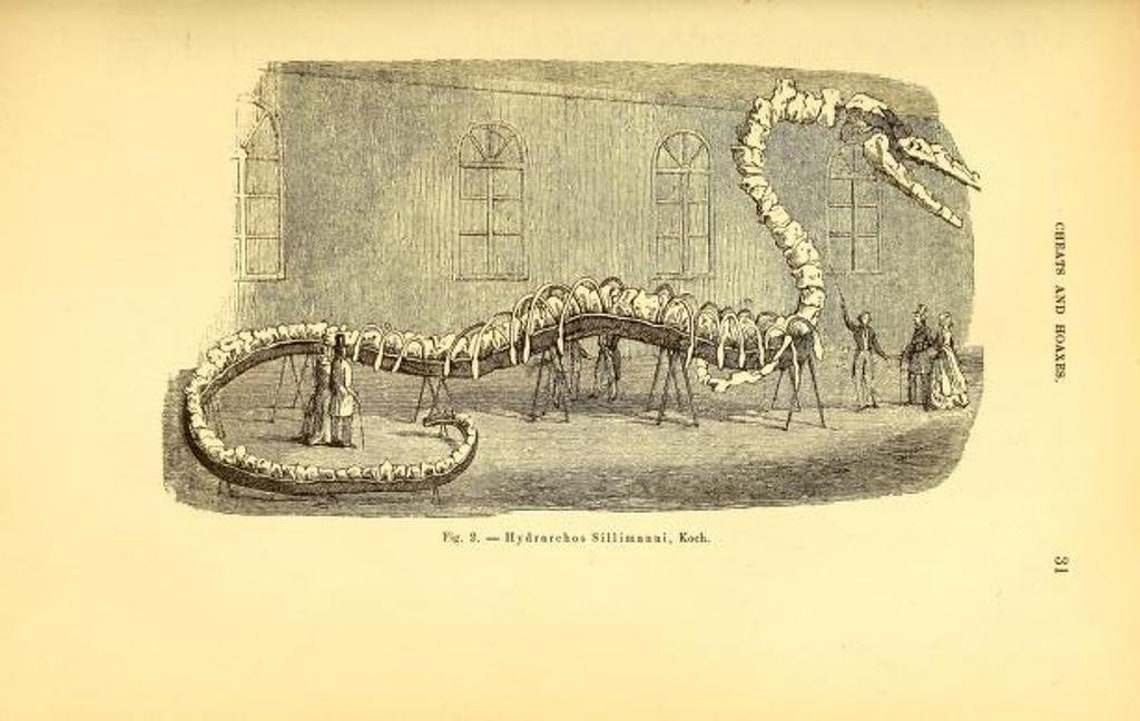 Monsters & Mythical Creatures 48 Rare Old Books PDF - Etsy UK