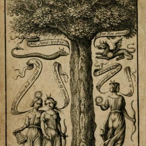 The Secrets of Alchemy 195 Rare Books & Manuscripts HUGE - Etsy