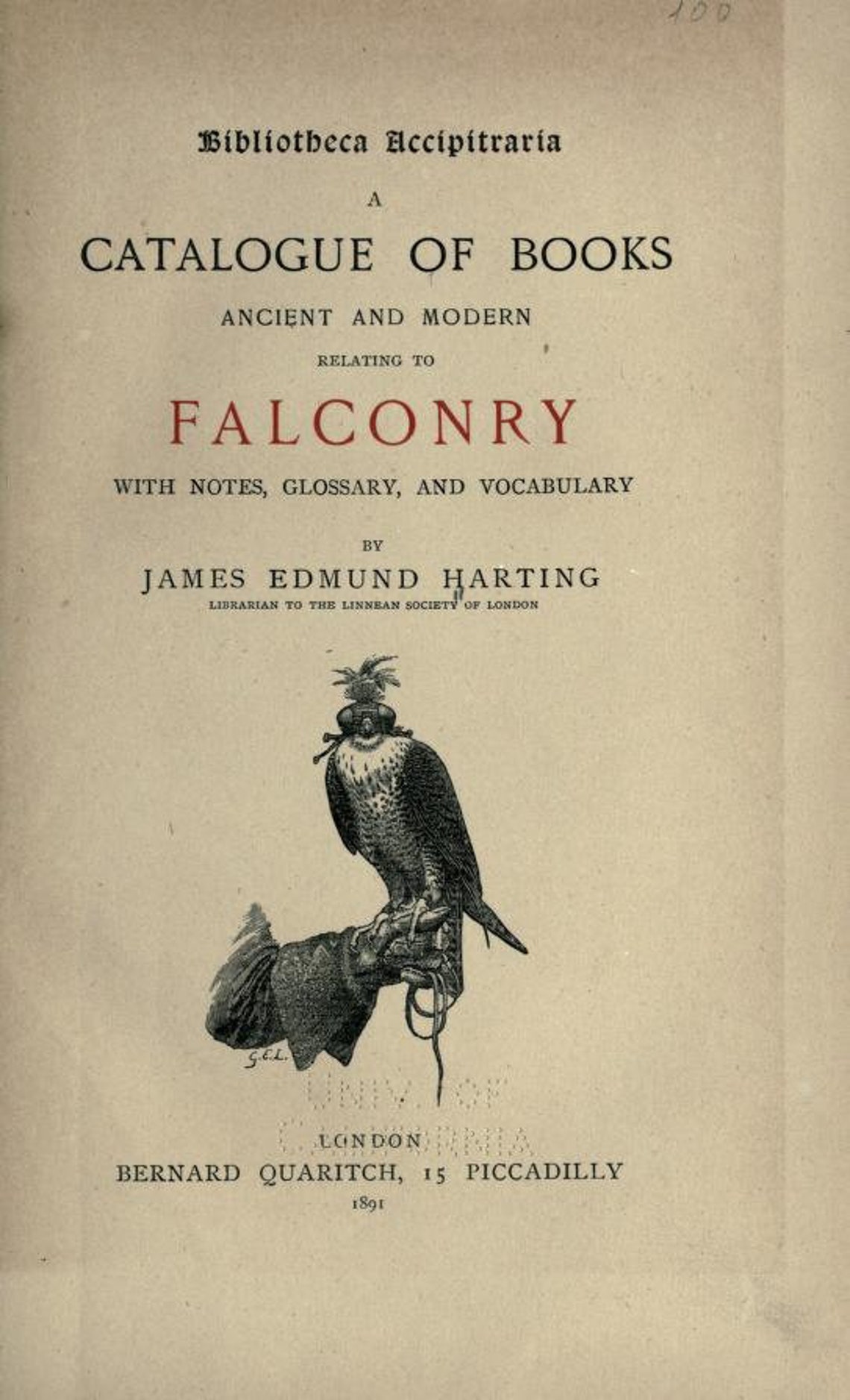 110 Rare Old Books on Falconry Hawking Hawk Falcon Training Coursing ...