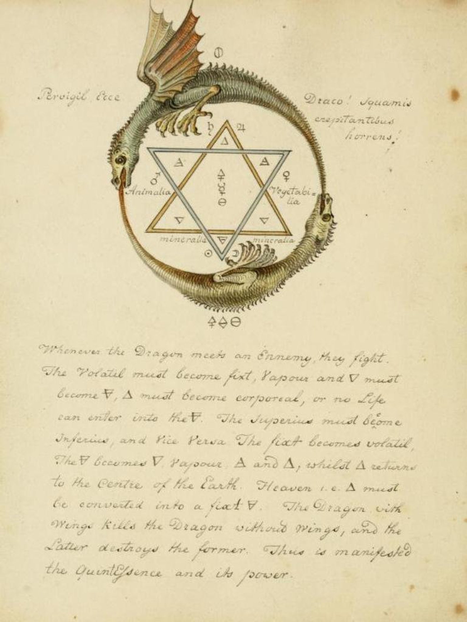 49 Rare Antique Alchemical Manuscripts Books Ancient Alchemy - Etsy UK