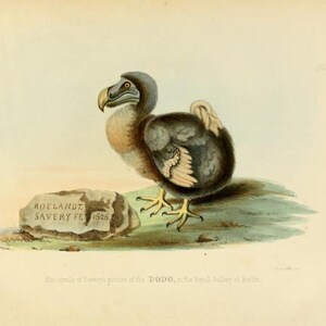 Monsters & Mythical Creatures - 48 Rare Old Books - PDF Download ...