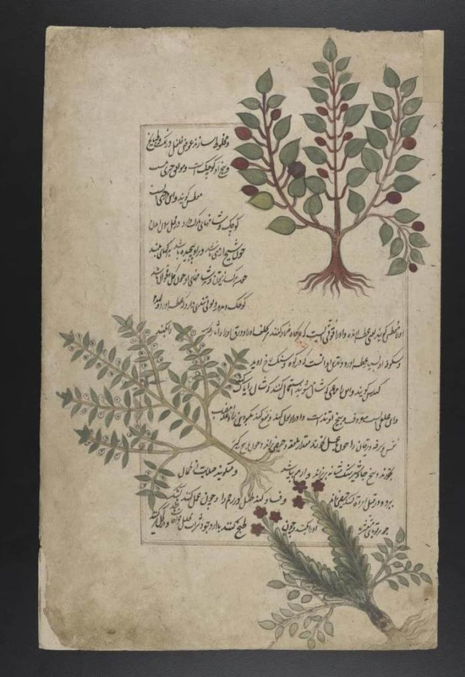 88 Ancient Islamic Manuscripts Books PDF Download Islam - Etsy