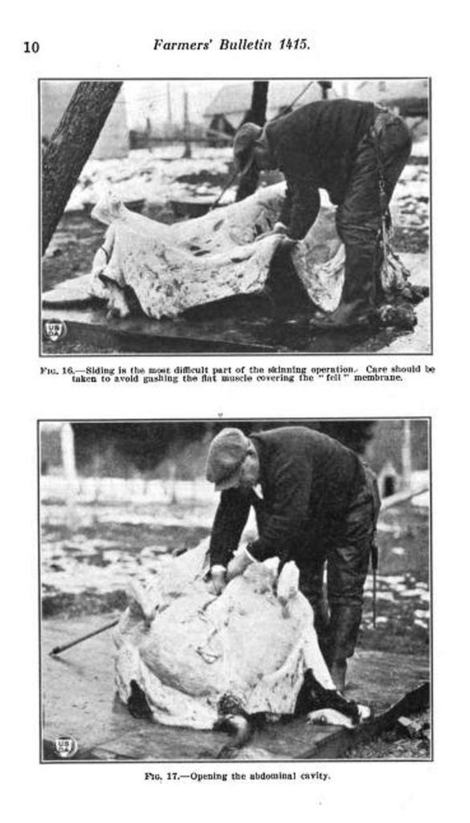 56 Rare Vintage Butchery Books PDF Download Butcher - Etsy UK