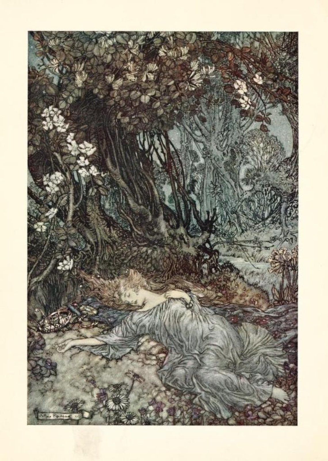 41 Vintage Arthur Rackham Illustrated Books PDF Instant | Etsy