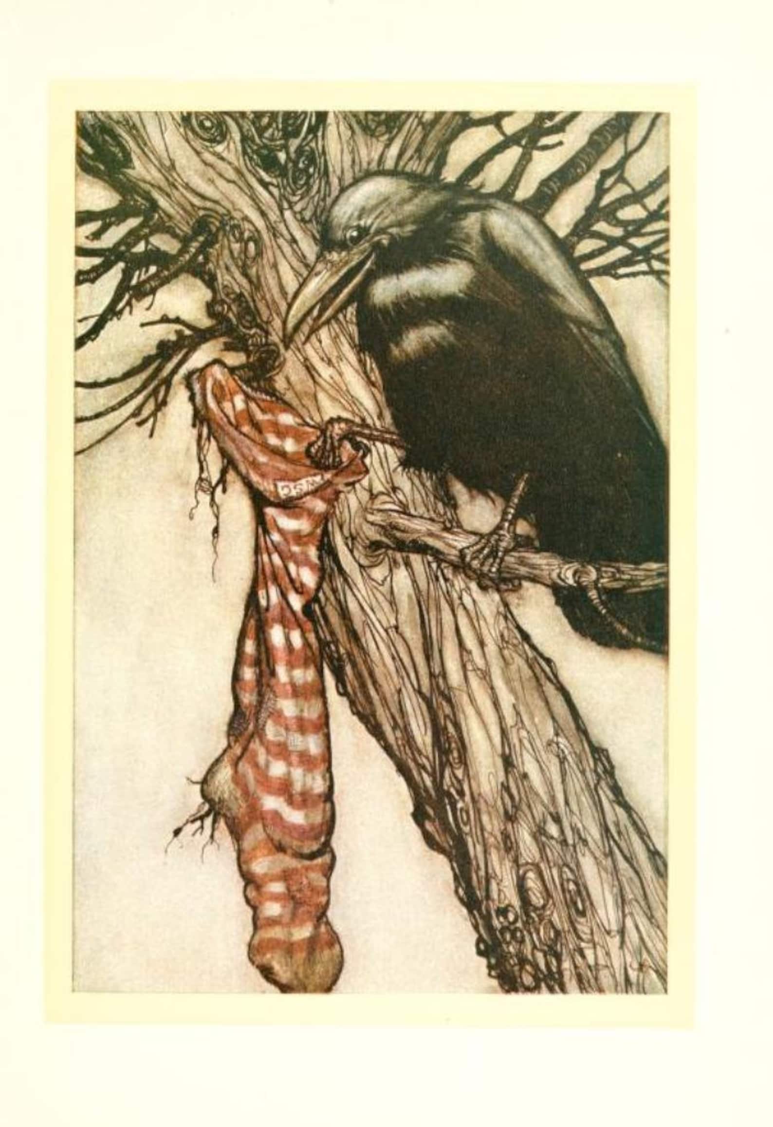 41 Vintage Arthur Rackham Illustrated Books PDF Instant - Etsy