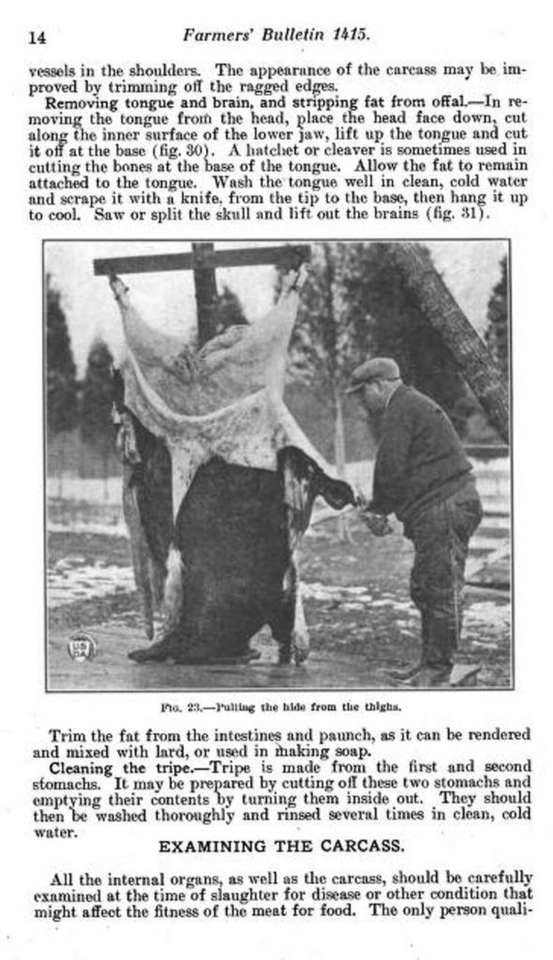 56 Rare Vintage Butchery Books PDF Download Butcher - Etsy