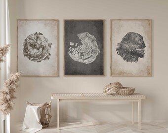 Beige Tree Ring Prints Set of 3 Posters Wood Slice Prints Tree Ring Art ...