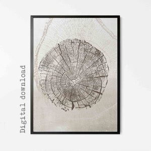 Beige Tree Ring Prints Set of 3 Nordic Prints Tree Stump Prints Tree ...
