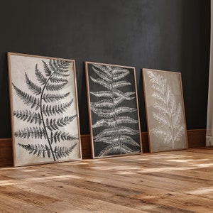 Leaf Botanical Print Set of 3, Fern Botanical Prints, Boho Gallery Wall ...