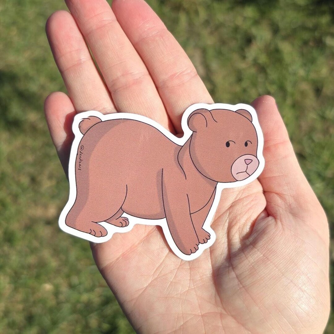 Suspicious Bear 2.5 Inch Sticker - Etsy