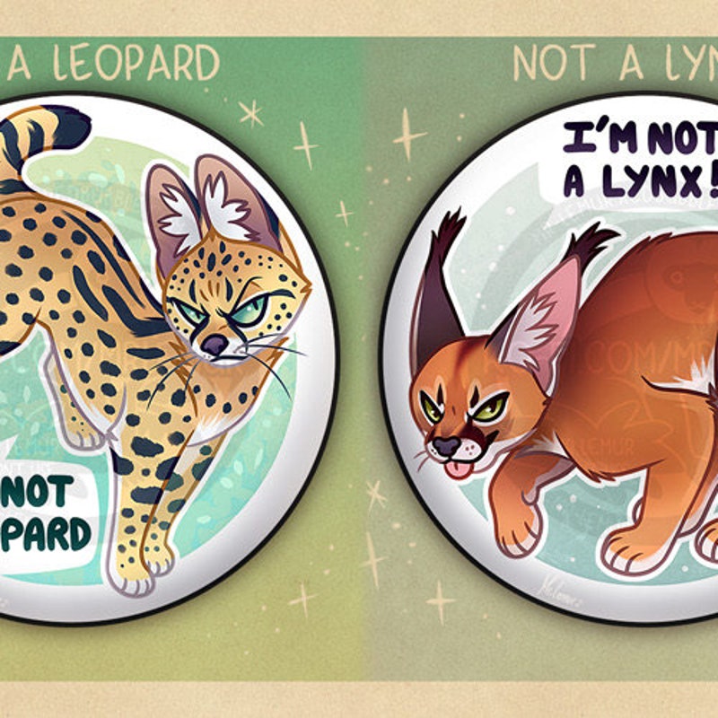 Therian Room Decor - Etsy