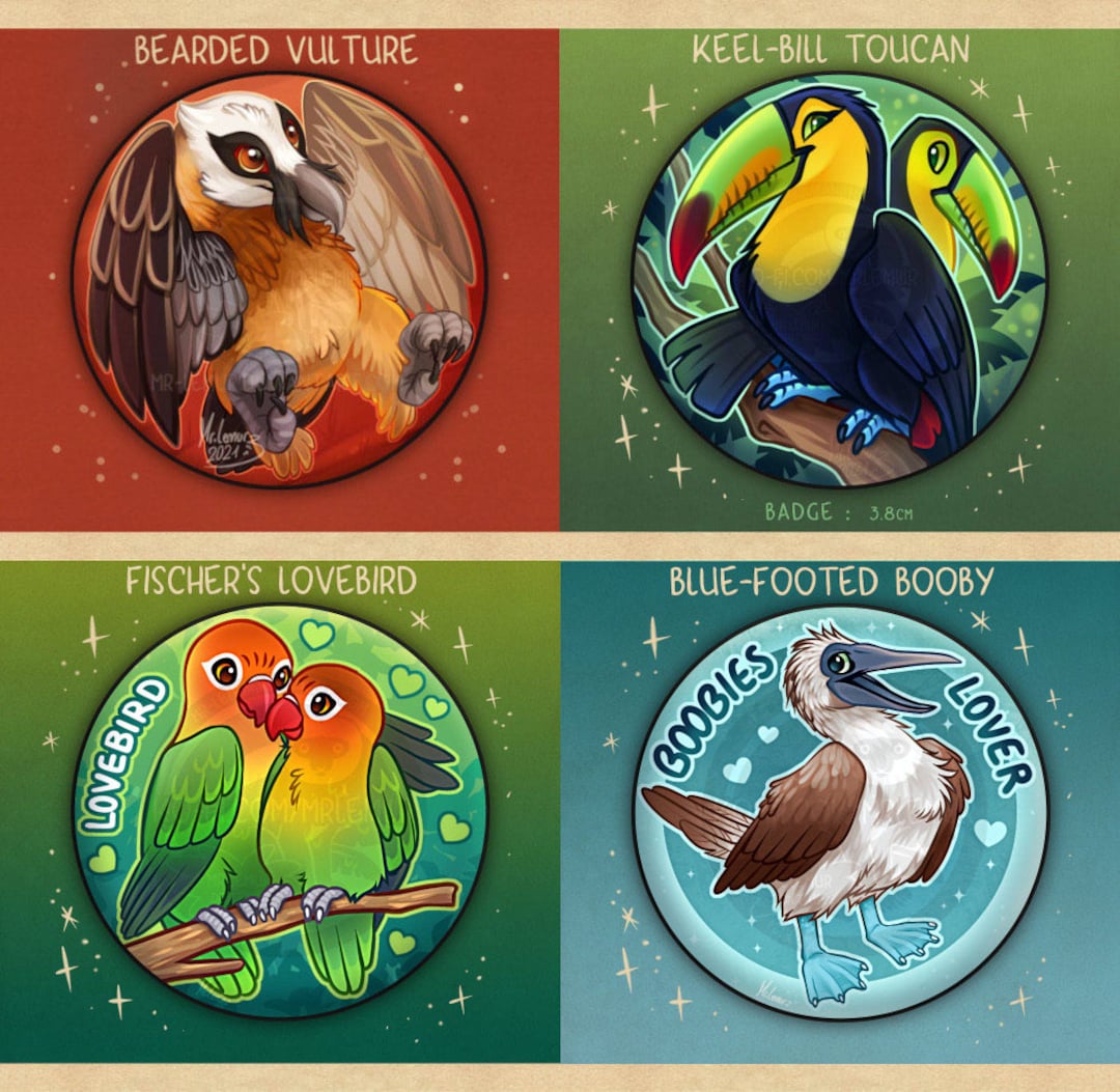Bearded Vulture, Keel-bill Toucan, Fisher's Lovebird & Blue-footed ...