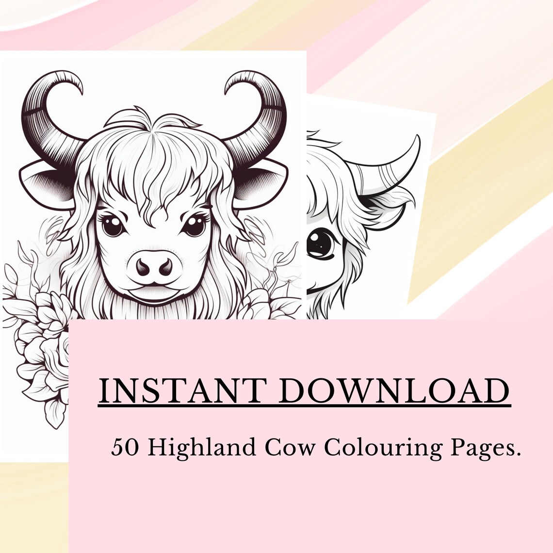 50 Cute Highland Cow Colouring Pages, Instant Download, Grayscale ...