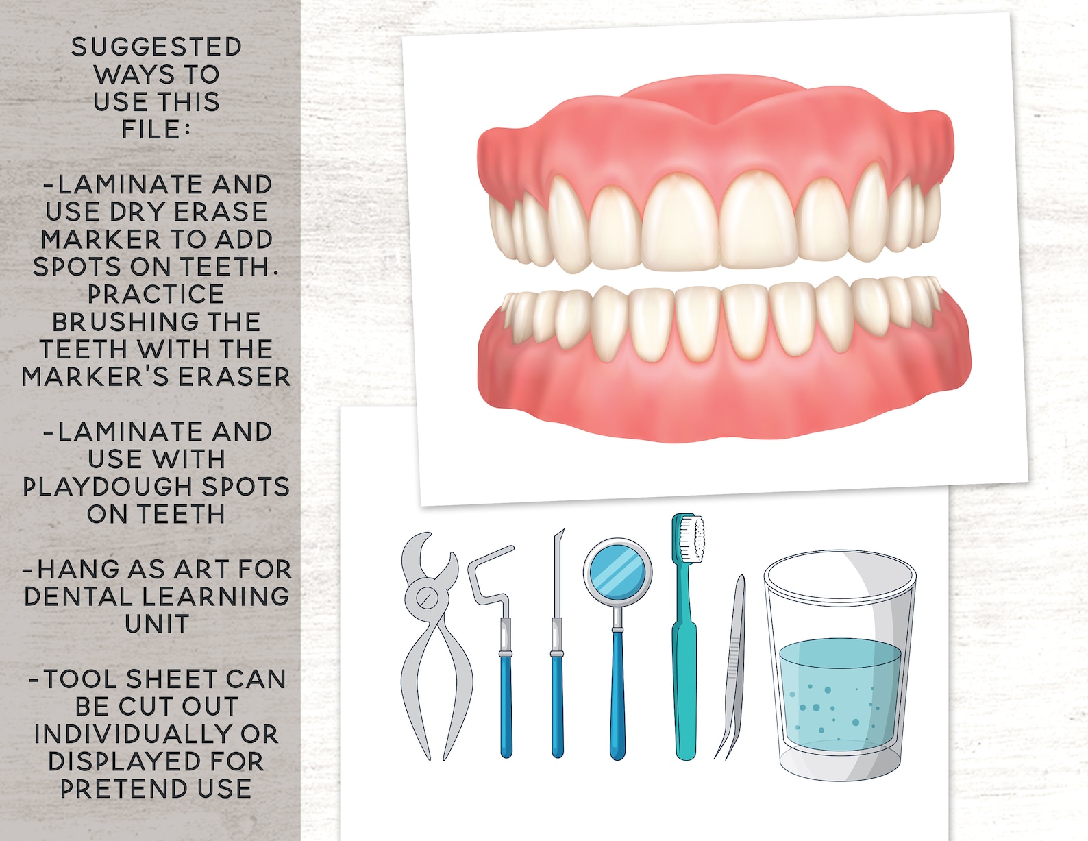 Tooth Brushing Dentist Learning Printable // Dental Unit Study ...