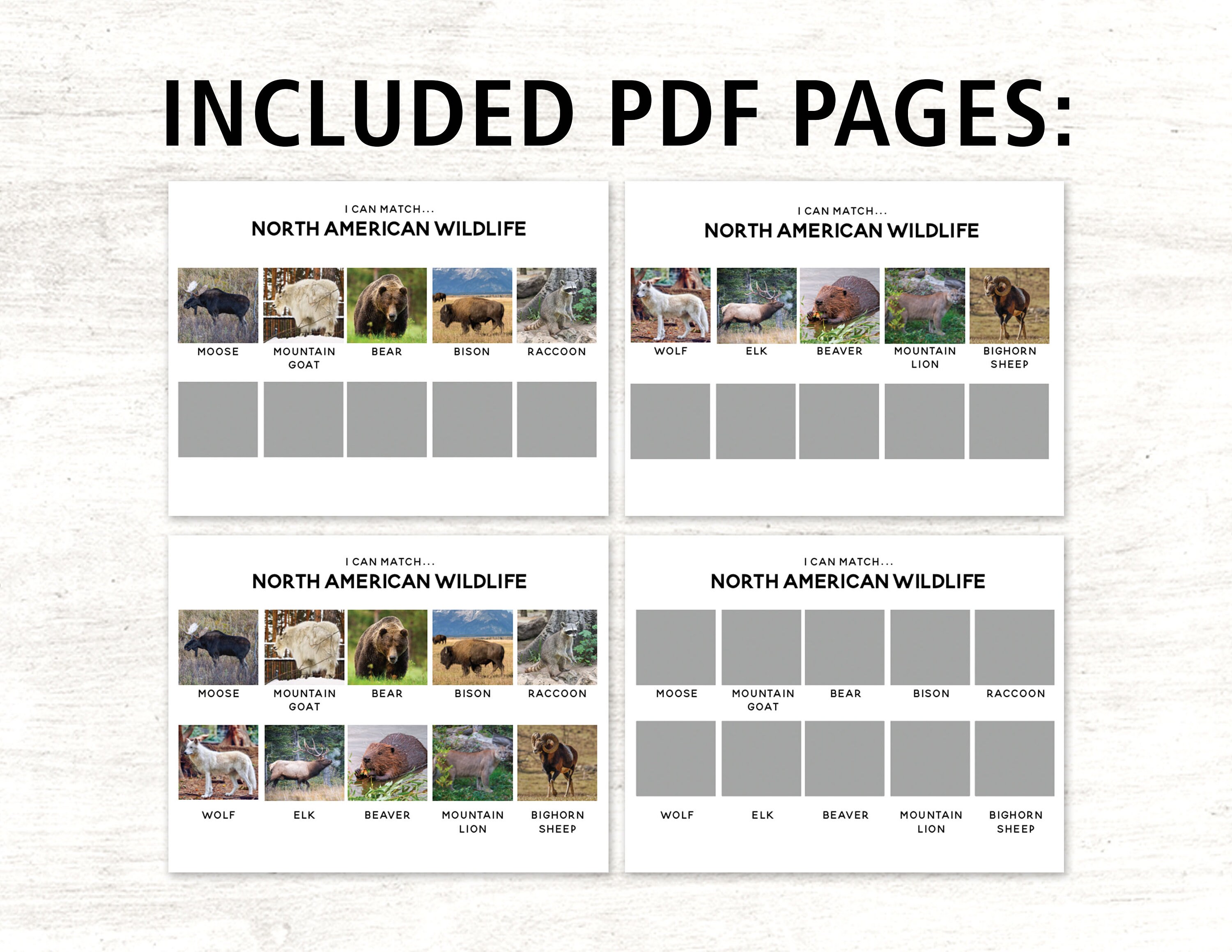 North American Wildlife Matching Game PDF // I Can Match // - Etsy