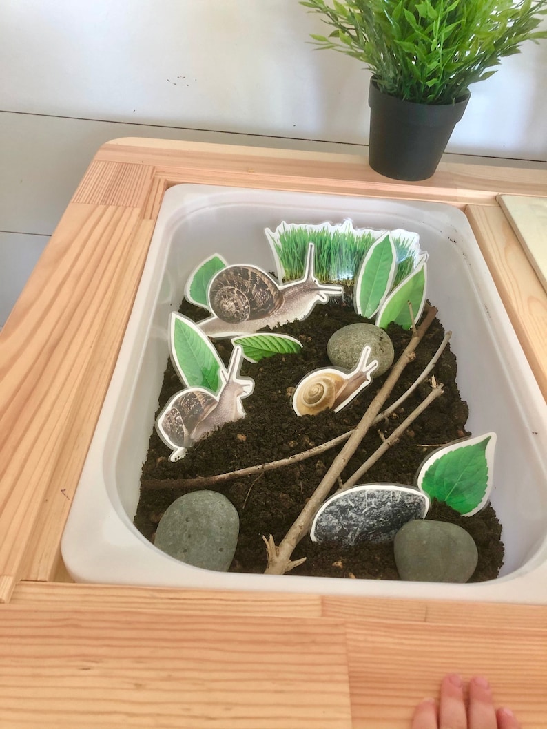 Snail Activity Set // PRINTABLE PDF // DIY Toddler Nature Color Letter ...