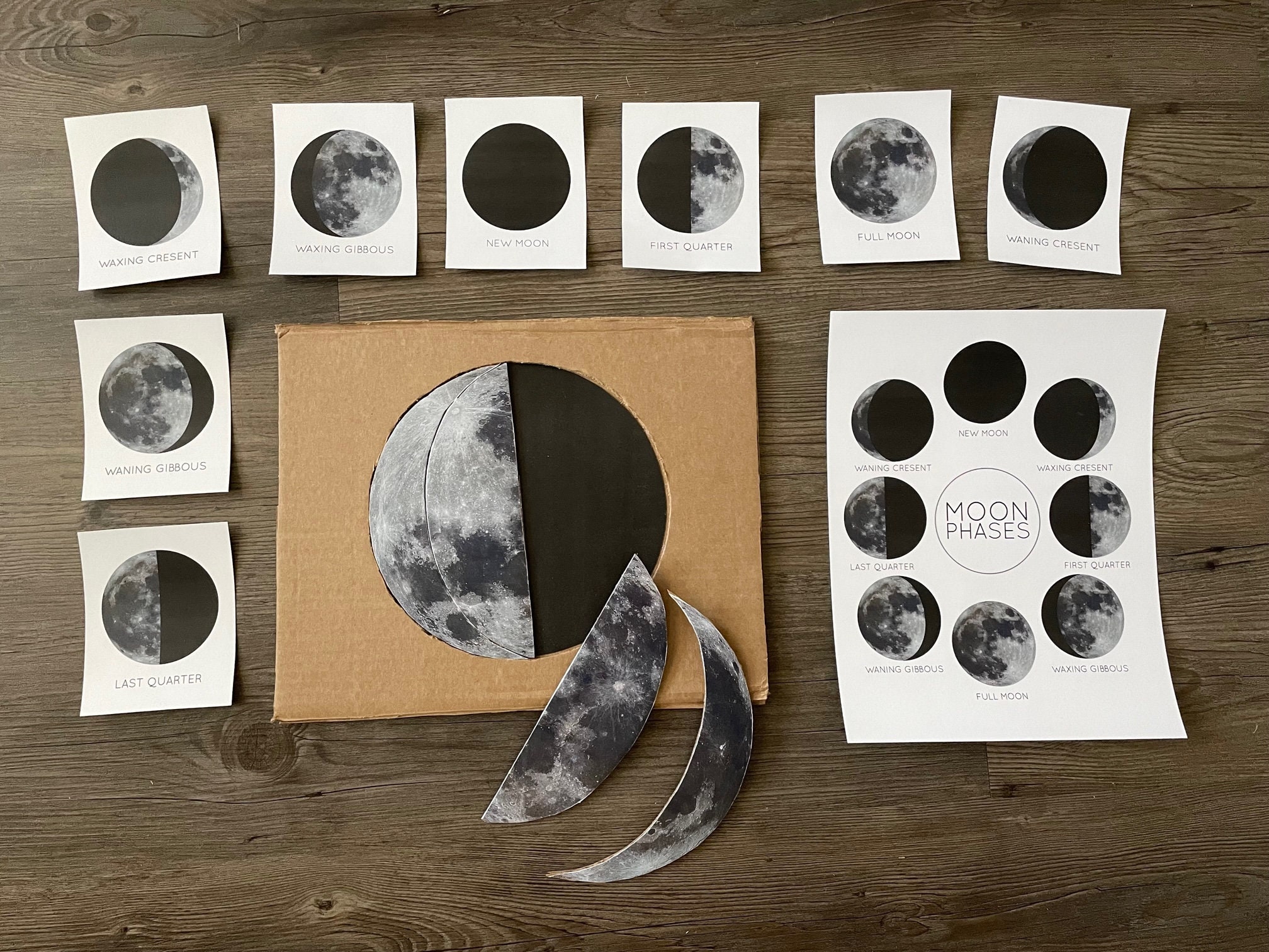 Moon Phase Lunar Unit Study // Printable PDF Moon Flashcards and Moon ...