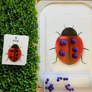 Ladybug Number Match Printable Game // Ladybug Learning Montessori ...