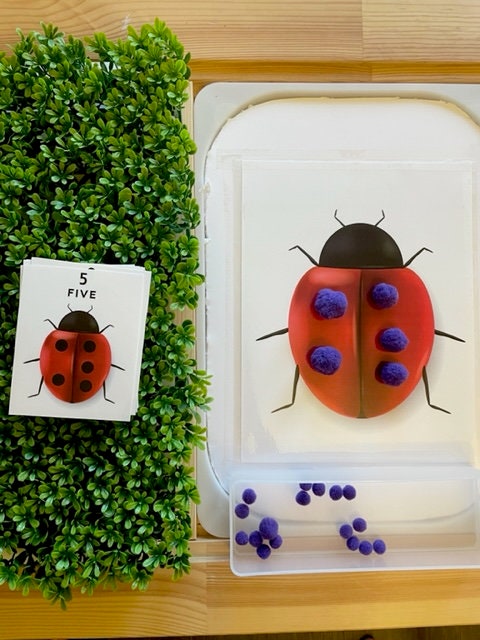 Ladybug Number Match Printable Game // Ladybug Learning Montessori ...