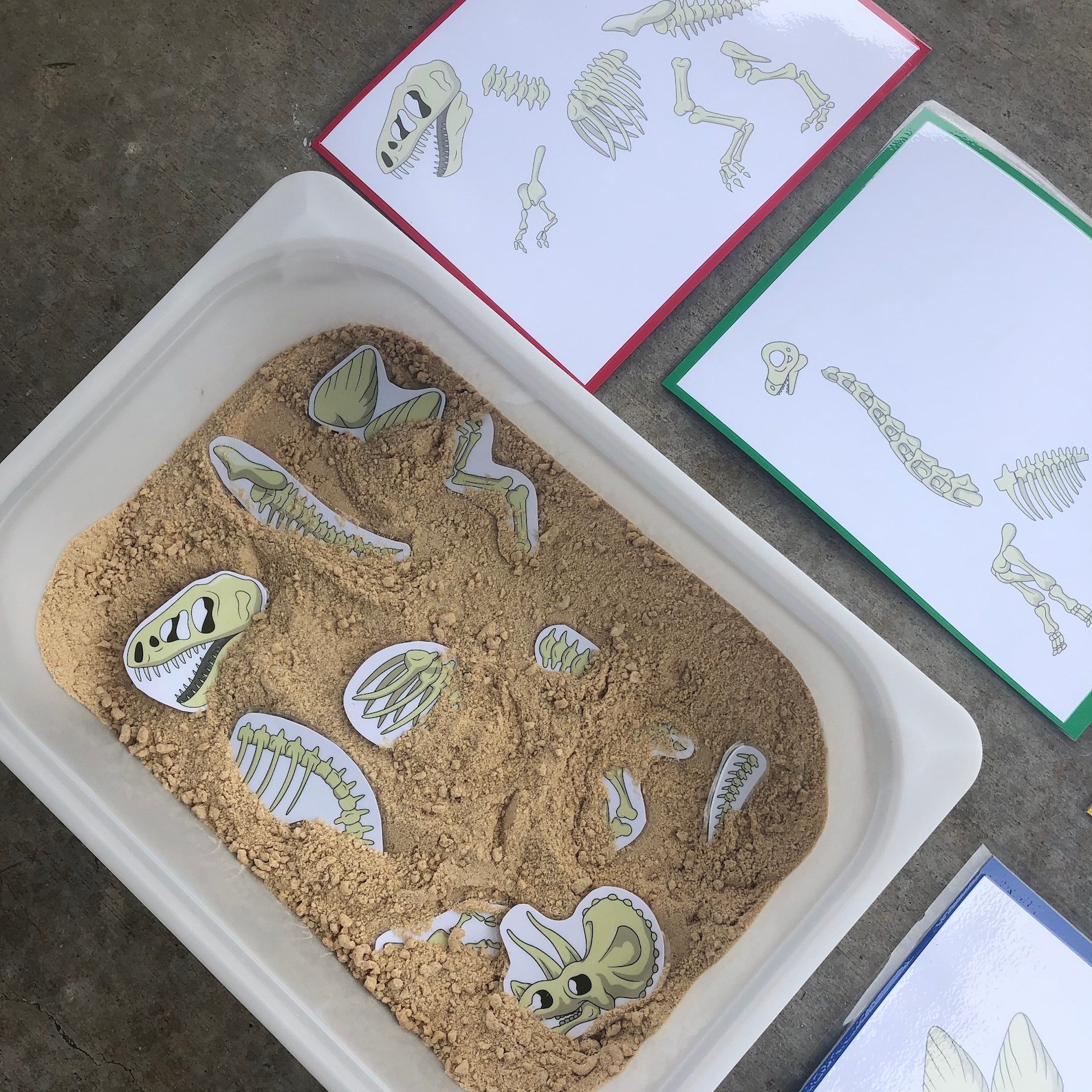 Dinosaur Bones Fossil Match Toddler / Child Activity // DIY Printable ...