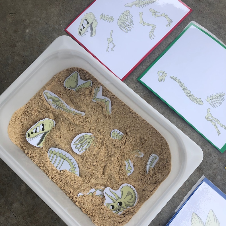 Dinosaur Bones Fossil Match Toddler / Child Activity // DIY Printable ...