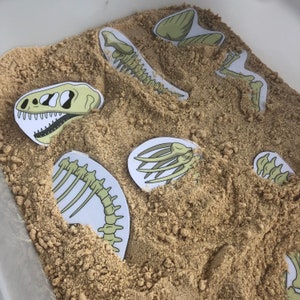 Dinosaur Bones Fossil Match Toddler / Child Activity // DIY Printable ...
