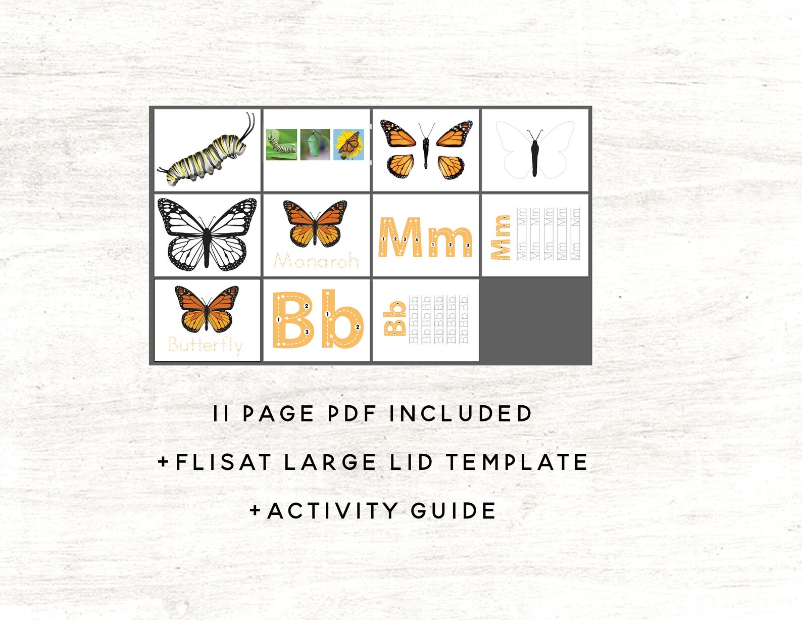 Butterfly Metamorphosis // Monarch Printable Toddler Preschool Activity ...