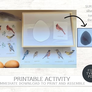Easter Bird Egg Light Table Preschool Printable // Robin, Cardinal ...