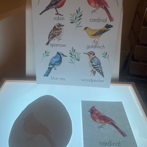 Easter Bird Egg Light Table Preschool Printable // Robin, Cardinal ...