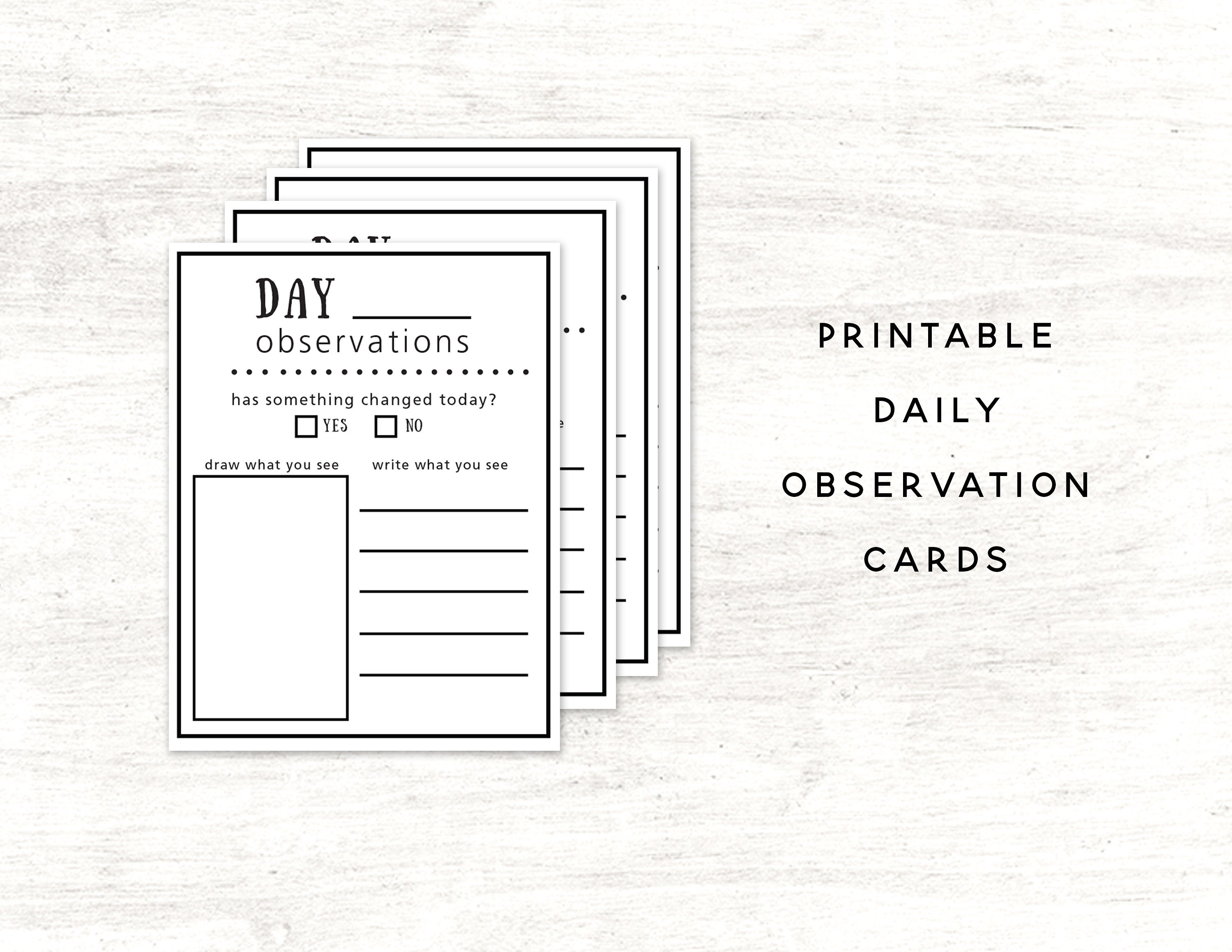 Observation Card Printable Learning Materials // 4 to a Letter Page PDF ...