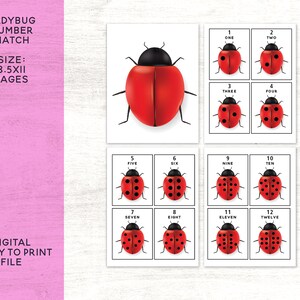 Ladybug Number Match Printable Game // Ladybug Learning Montessori ...