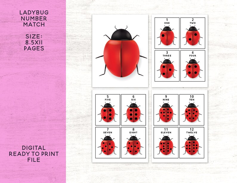 Ladybug Number Match Printable Game // Ladybug Learning Montessori ...