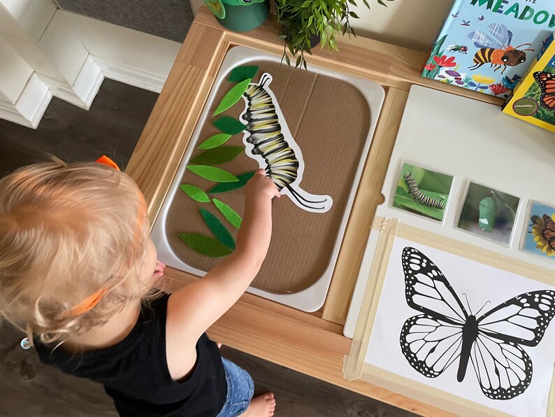 Butterfly Metamorphosis // Monarch Printable Toddler Preschool Activity ...