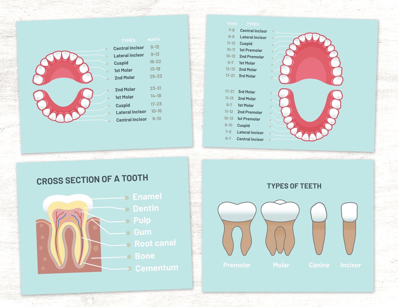 Dental Unit Study Tooth Signs // Learning Sign // Play Pretend Dentist ...