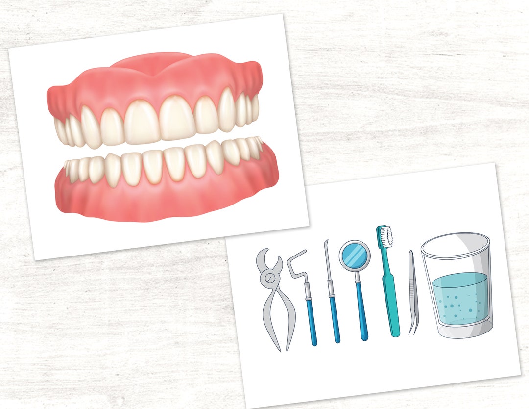 Tooth Brushing Dentist Learning Printable // Dental Unit Study - Etsy