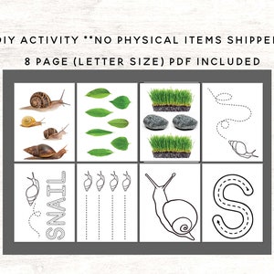 Snail Activity Set // PRINTABLE PDF // DIY Toddler Nature Color Letter ...