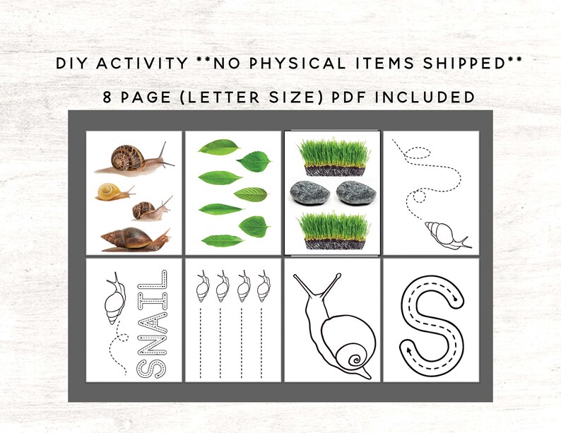 Snail Activity Set // PRINTABLE PDF // DIY Toddler Nature Color Letter ...