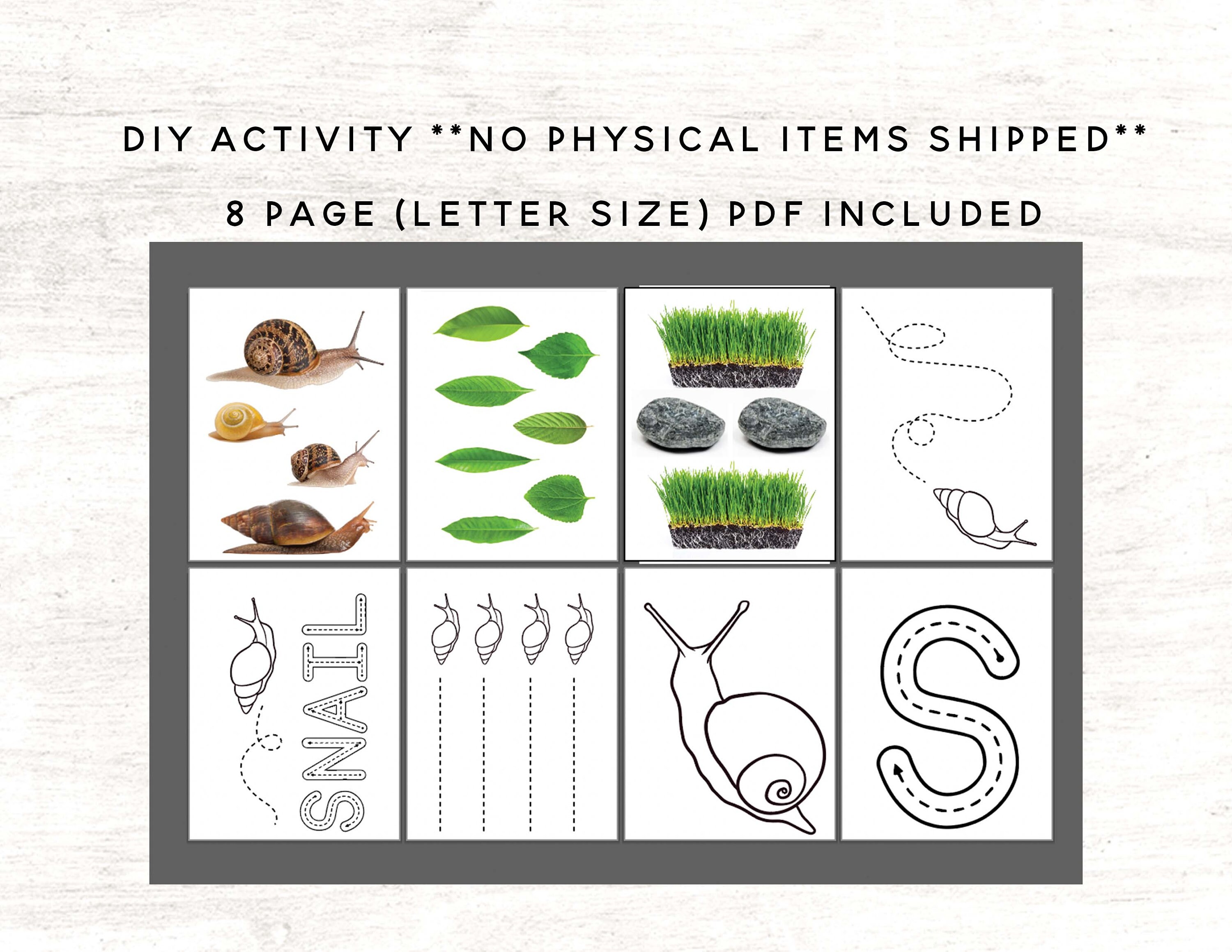 Snail Activity Set // PRINTABLE PDF // DIY Toddler Nature Color Letter ...
