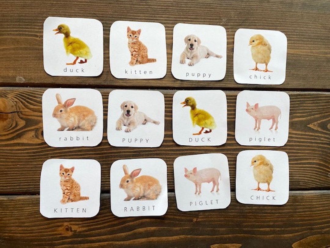 Easter Animal Match DIGITAL PDF Flash Cards Montessori Style Learning ...