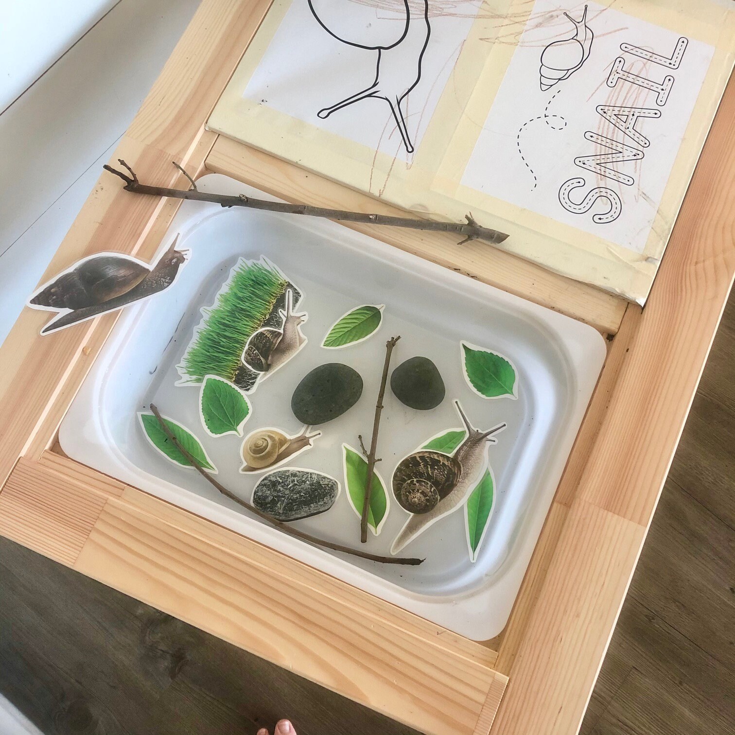 Snail Activity Set // PRINTABLE PDF // DIY Toddler Nature Color Letter ...