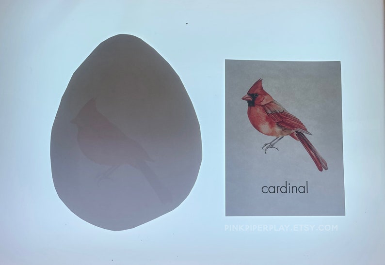 Easter Bird Egg Light Table Preschool Printable // Robin, Cardinal ...
