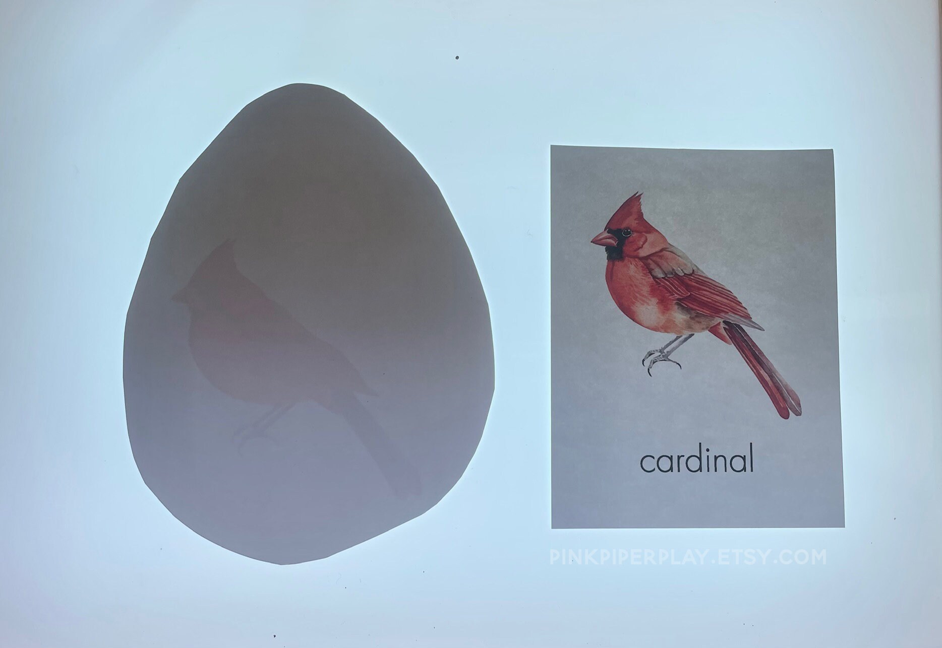 Easter Bird Egg Light Table Preschool Printable // Robin, Cardinal ...
