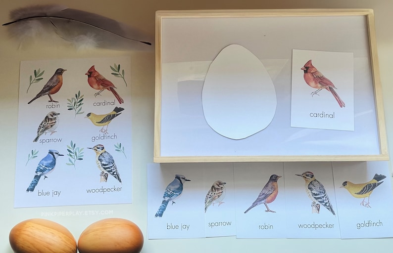 Easter Bird Egg Light Table Preschool Printable // Robin, Cardinal ...