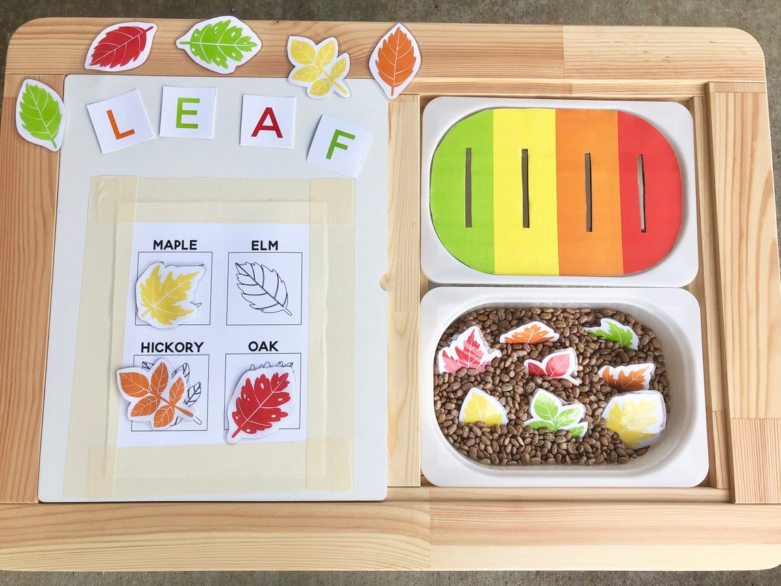 FALL Leaves Printable Toddler Activity Set Play Ideas - Etsy