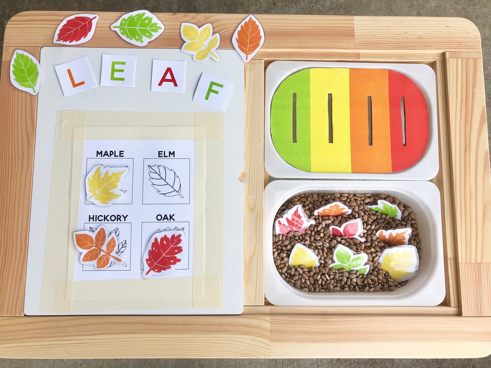 FALL Leaves Printable Toddler Activity Set Play Ideas - Etsy